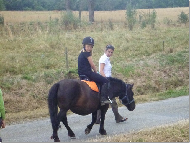 Why did we move to a pony country? – Grasspunk Farm